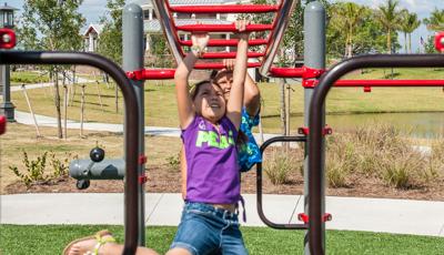 Horizontal Ladder Overhead Monkeybars - Landscape Structures