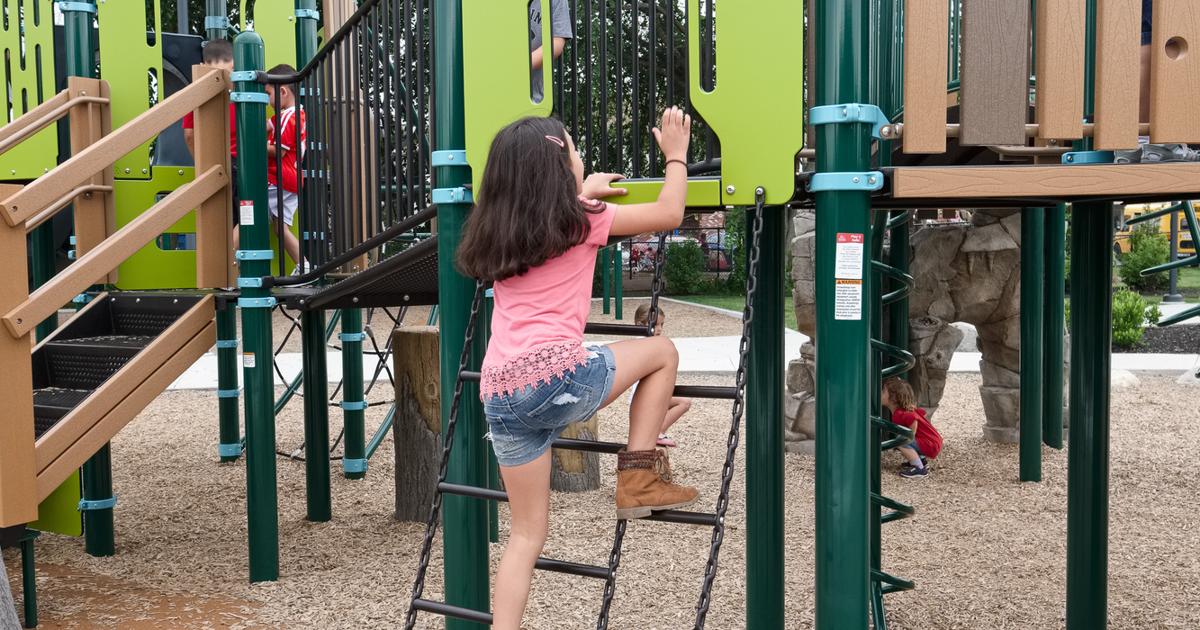 Chain Ladder - Galvanized Steel Chain-Link Play Ladder