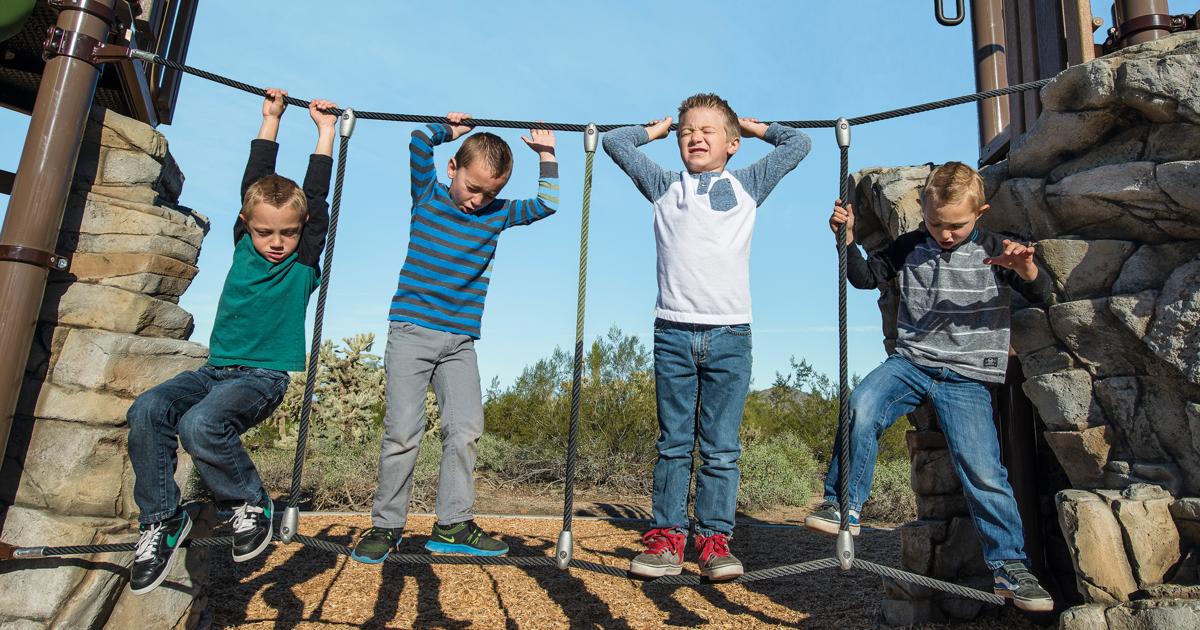 Canyon High Wire Net with Rock - Landscape Structures