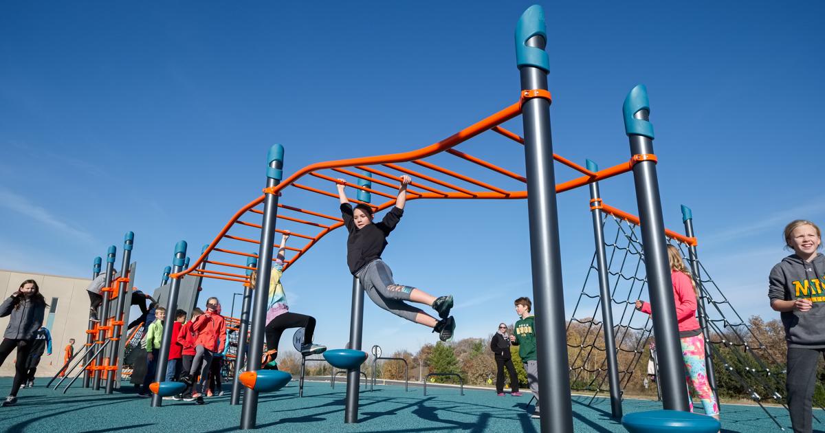 FitCore™ Extreme Angled Overhead Ladder Playground Structure