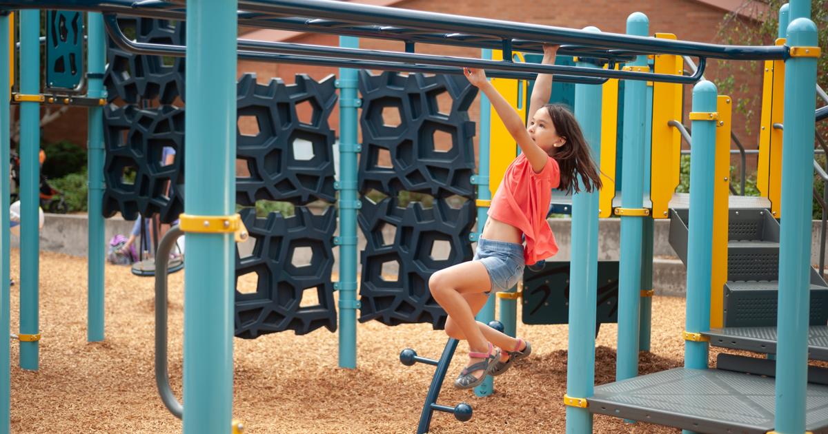 Overhead Parallel Bars - Combination Parallel and Monkey Bar