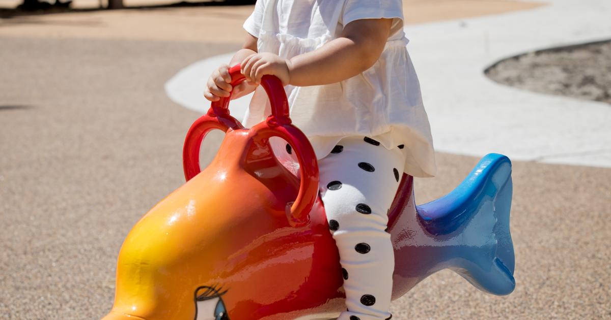 Whimsy Rider™ - Spring Mounted Seat in Dolphin Shape