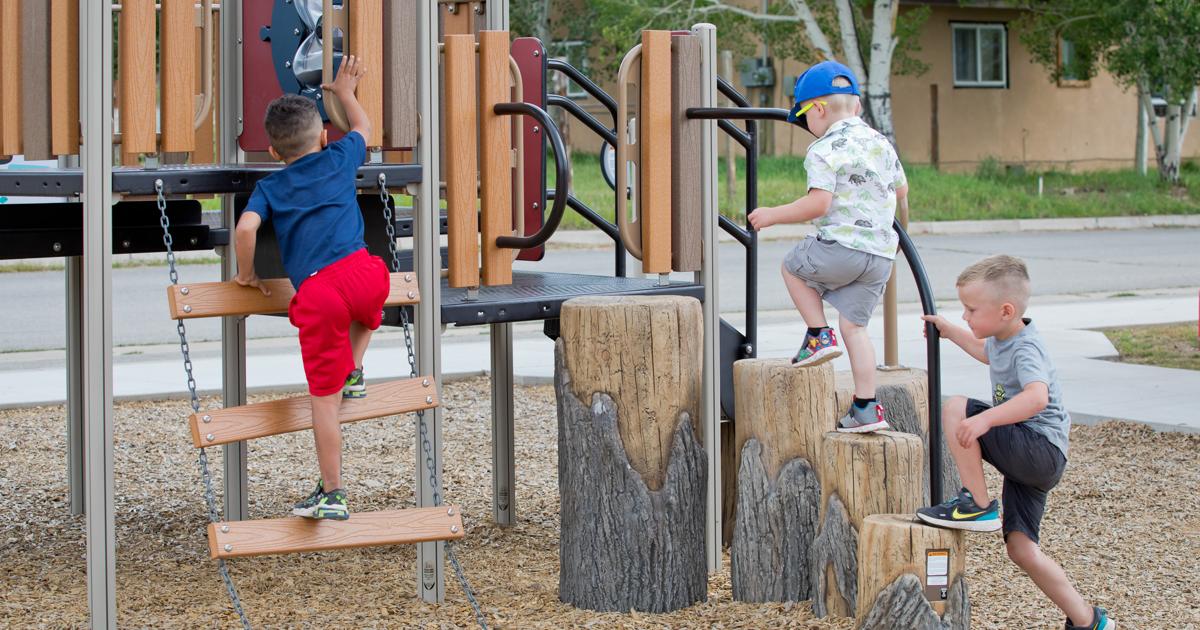 Log Steppers - Natural-looking Tree Steps - Landscape Structures