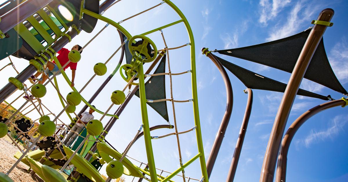 Vine Climber | Landscape Structures