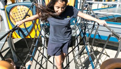 SpaceWalk Climber™ w/Vibe® Handholds