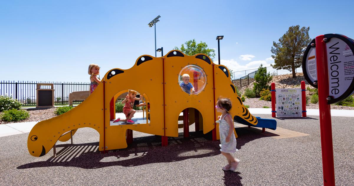 Dinosaur Themed Playground Climber - Landscape Structures