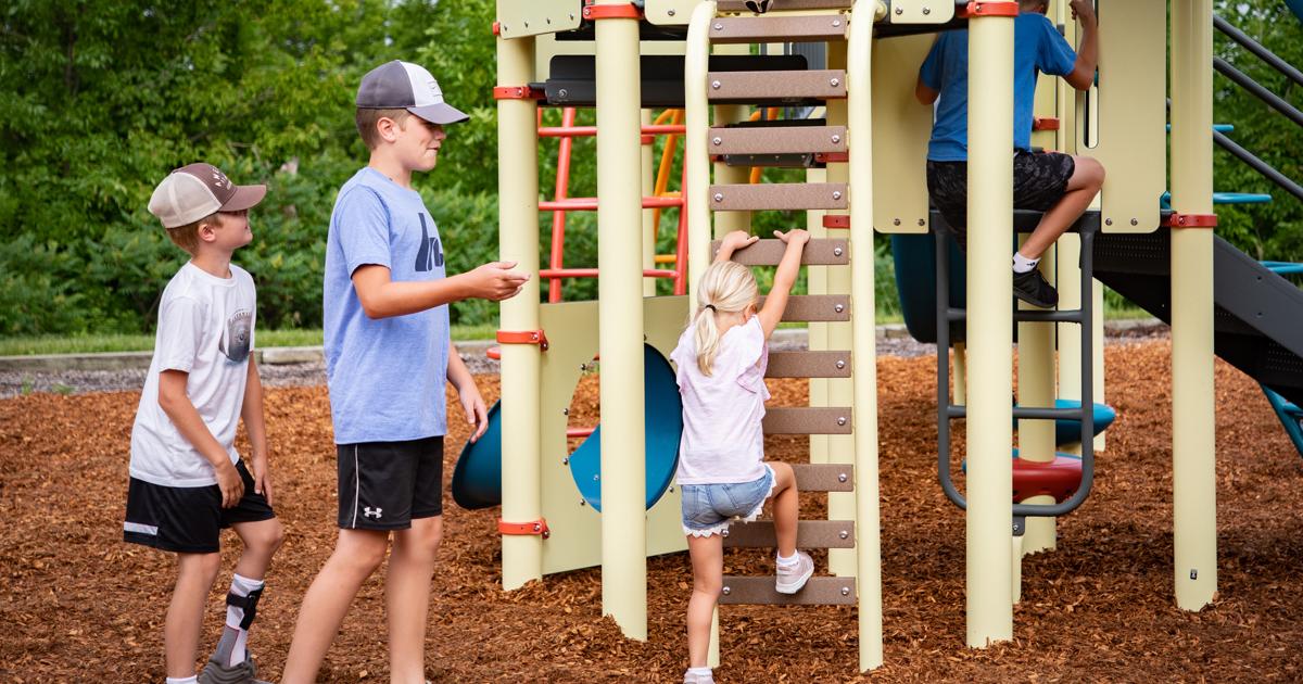 Wood Plank Ladder with Permalene® - Landscape Structures