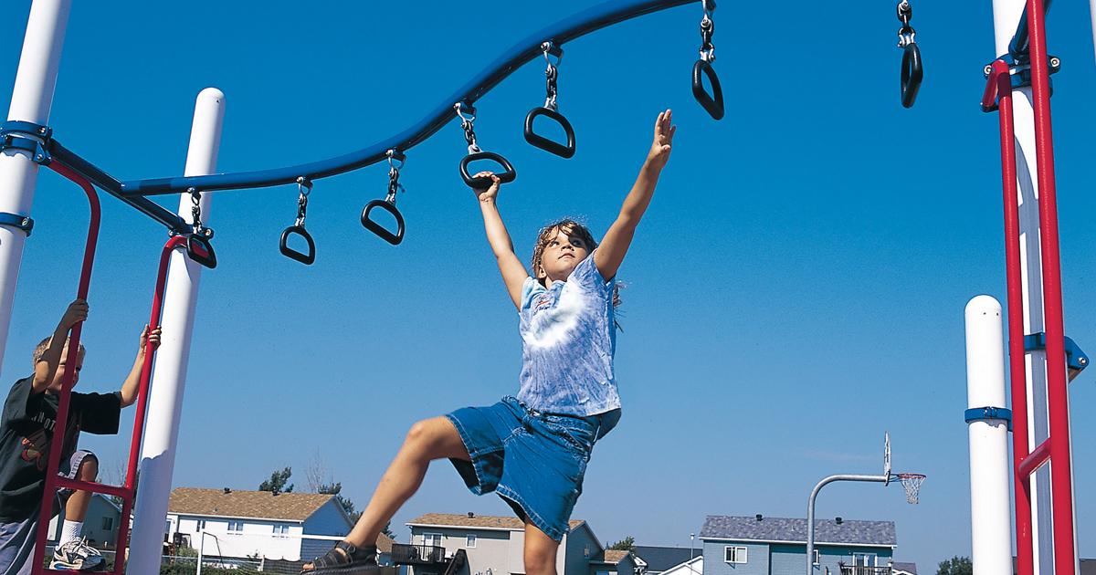 Ring Bridge - Overhead Hang Play - Landscape Structures