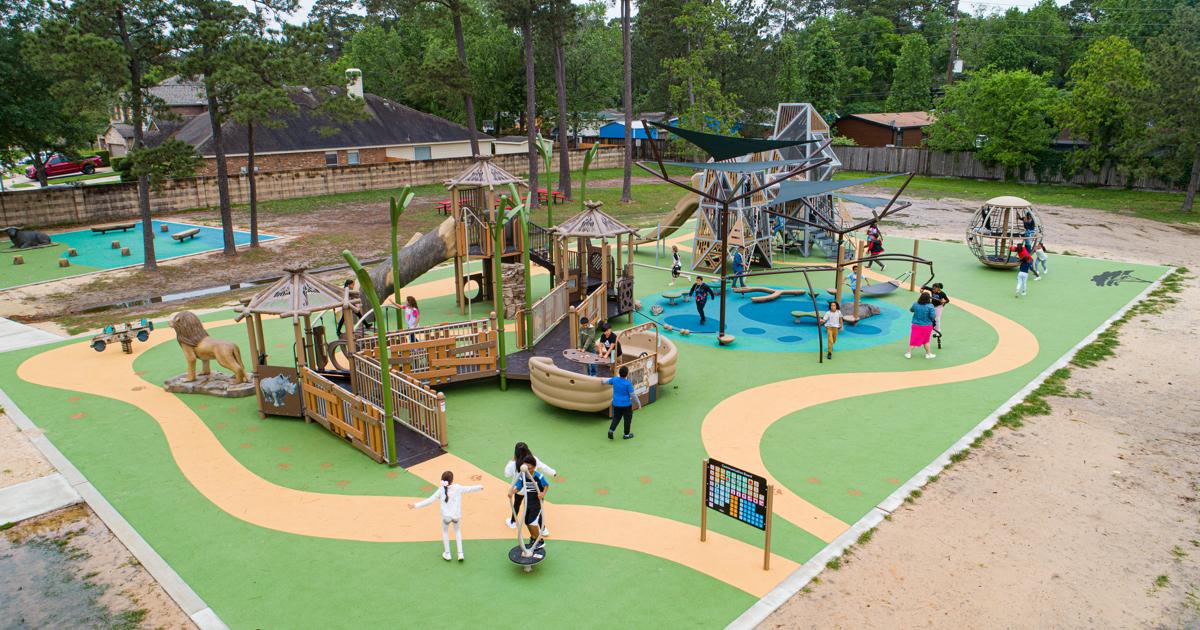 Park Lakes Elementary School - Inclusive Animal-Themed School Playground