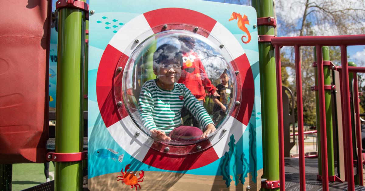 DigiFuse® Bubble Panel - Landscape Structures