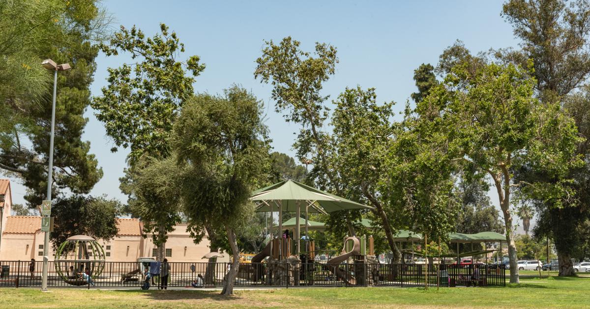 Sun Valley Recreation Center - Nature-Inspired Urban Playground