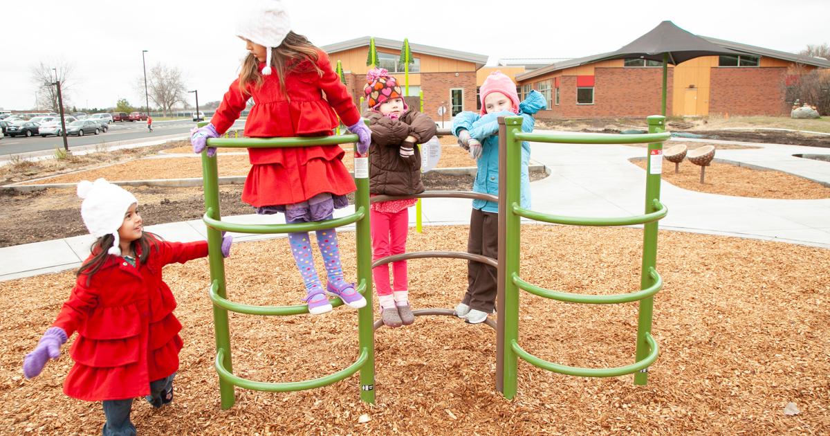 Vertical Pipe Climbers - Traditional Ladder with Rungs