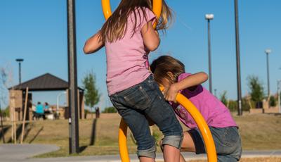 Gyro Twister® Spinner Add-On - Landscape Structures