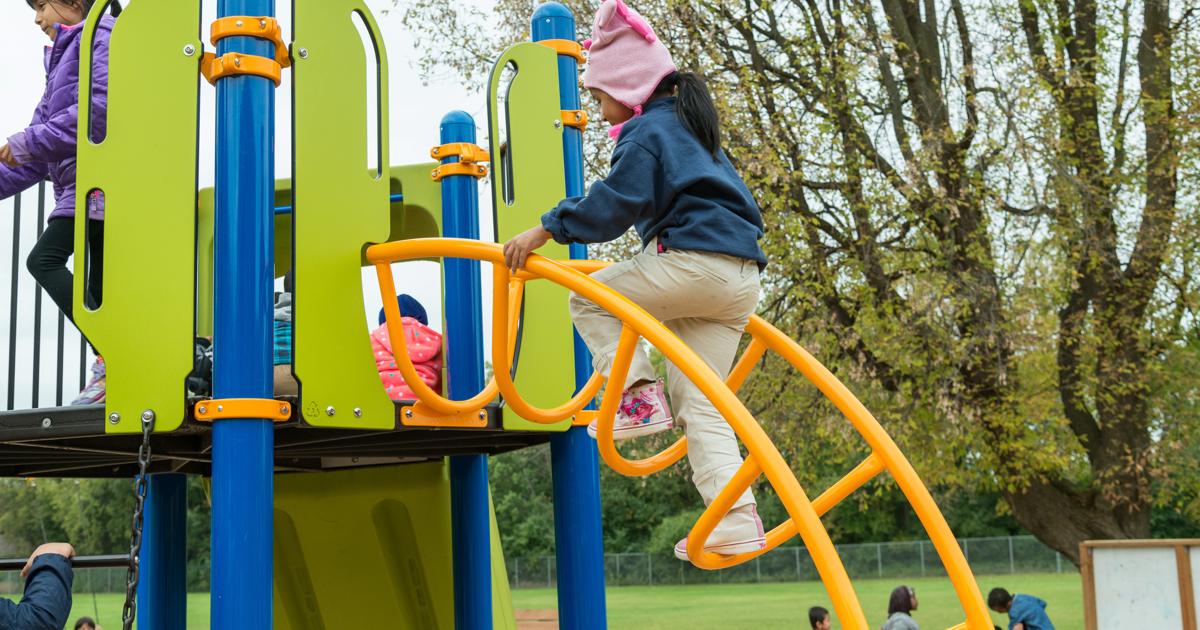 Loop Arch Climber - Arched Ladder - Landscape Structures