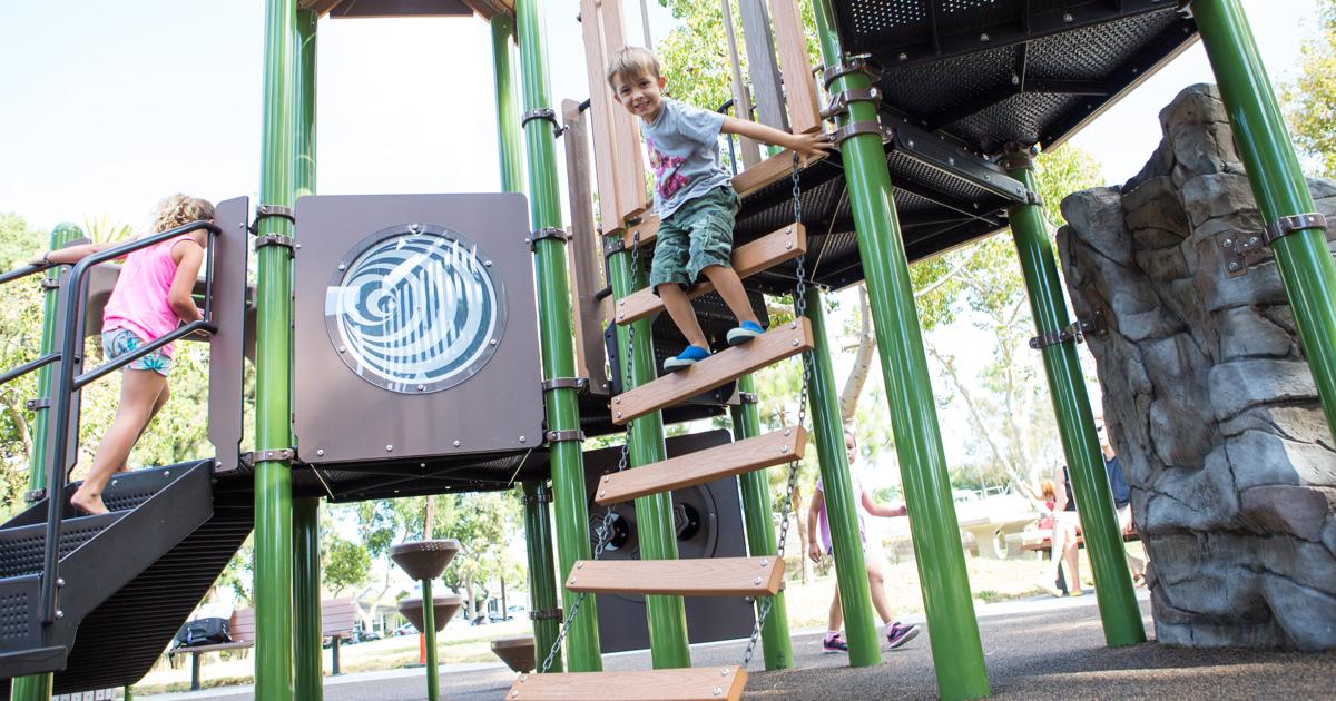 Wood Plank Wiggle Playground Ladder - Landscape Structures