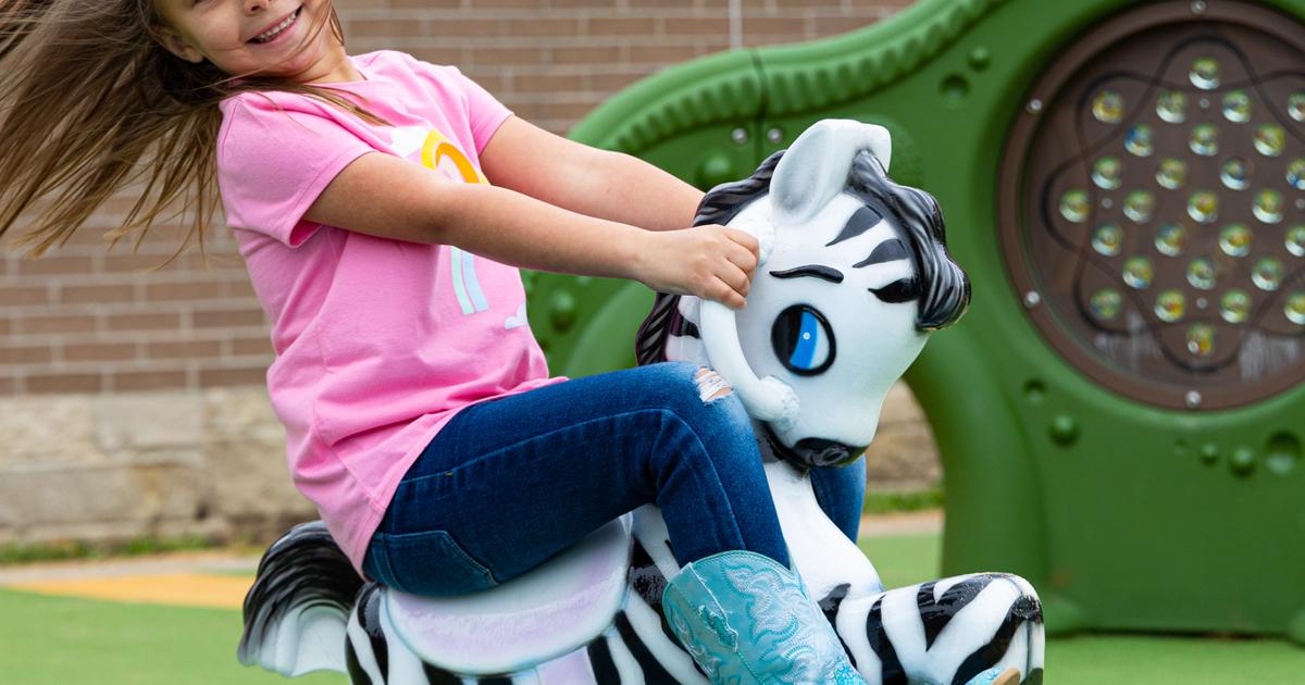 The Whimsy Rider Zebra brings zoo fun to the playground