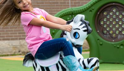 The Whimsy Rider Zebra brings zoo fun to the playground