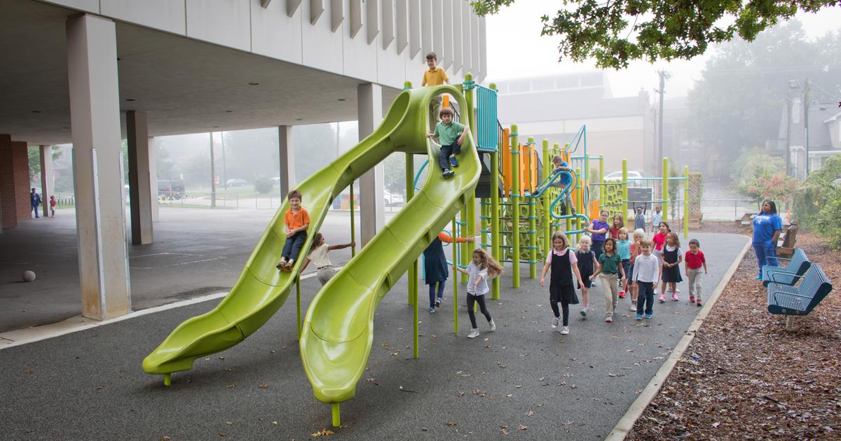 Gemini Slidewinder2 - Double Slide - Landscape Structures