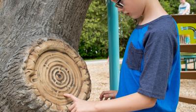 12th Line Park - Colorful Playground for All Ages