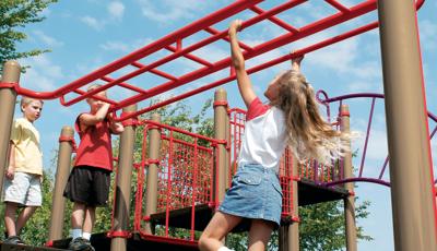 Overhead Parallel Bars - Combination Parallel and Monkey Bar