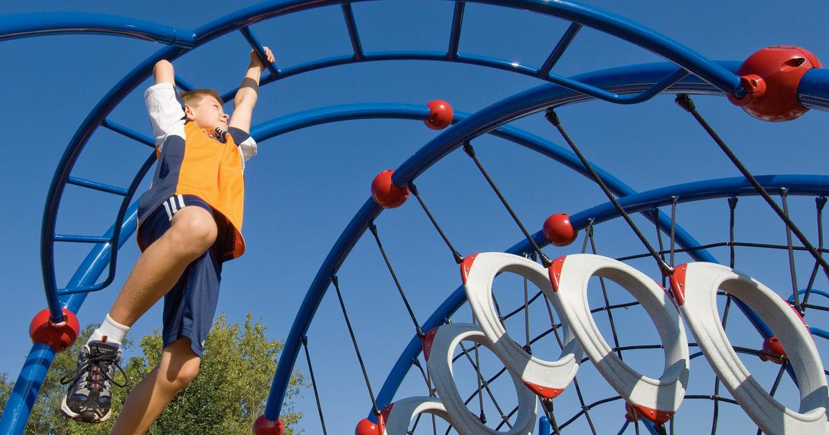 Evos Overhead Trekker playground ladder