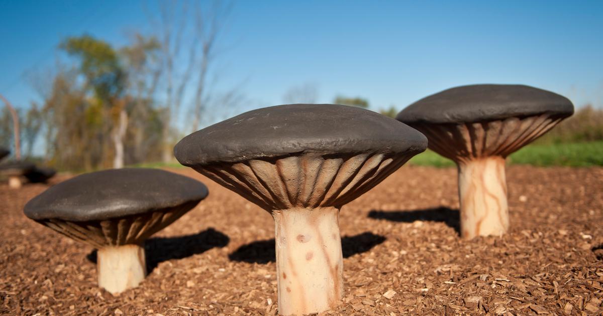 Mushroom Steppers - Playground Climbers, Steps or Seats