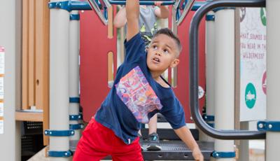 Overhead Parallel Bars - Combination Parallel and Monkey Bar