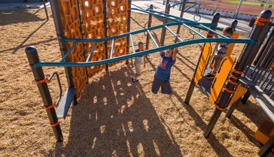 Wave Horizontal Ladder - Monkeybars - Landscape Structures