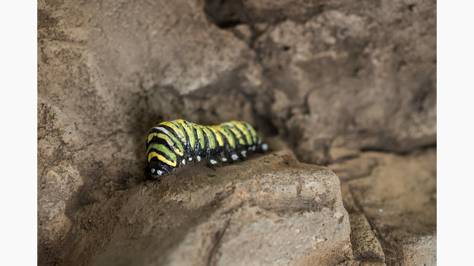 The Den® Rock - Mountain Climber with Built-In Hideaway for Ages 5-12