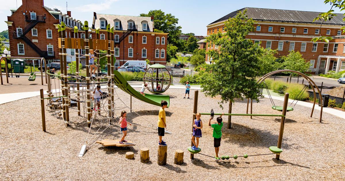 The Parks at Walter Reed - Nature-Inspired Playground Net Tower