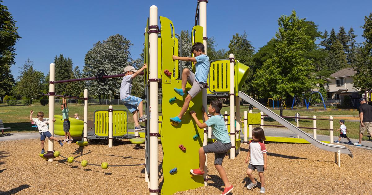Vertical Ascent Climber - Wall - Landscape Structures