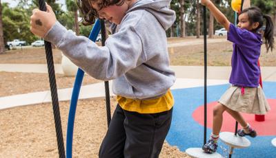 Evos Swiggle Stix Playground Bridge - Landscape Structures