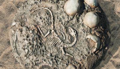 Fossil Digs Dino Eggs - Landscape Structures